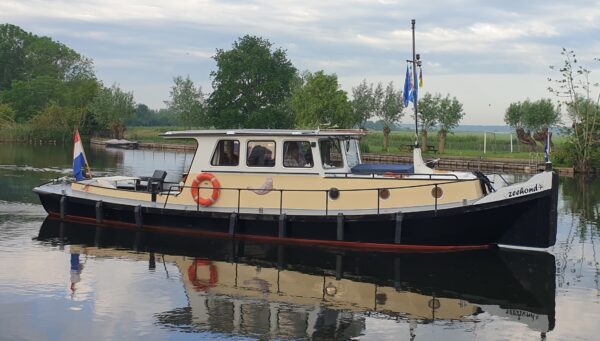 Zeehond - Sail Den Helder